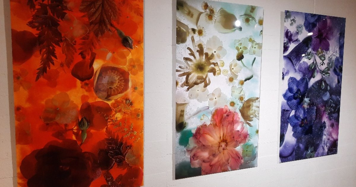 Laatste kans om Floribunda te bezoeken | Radio Aalsmeer